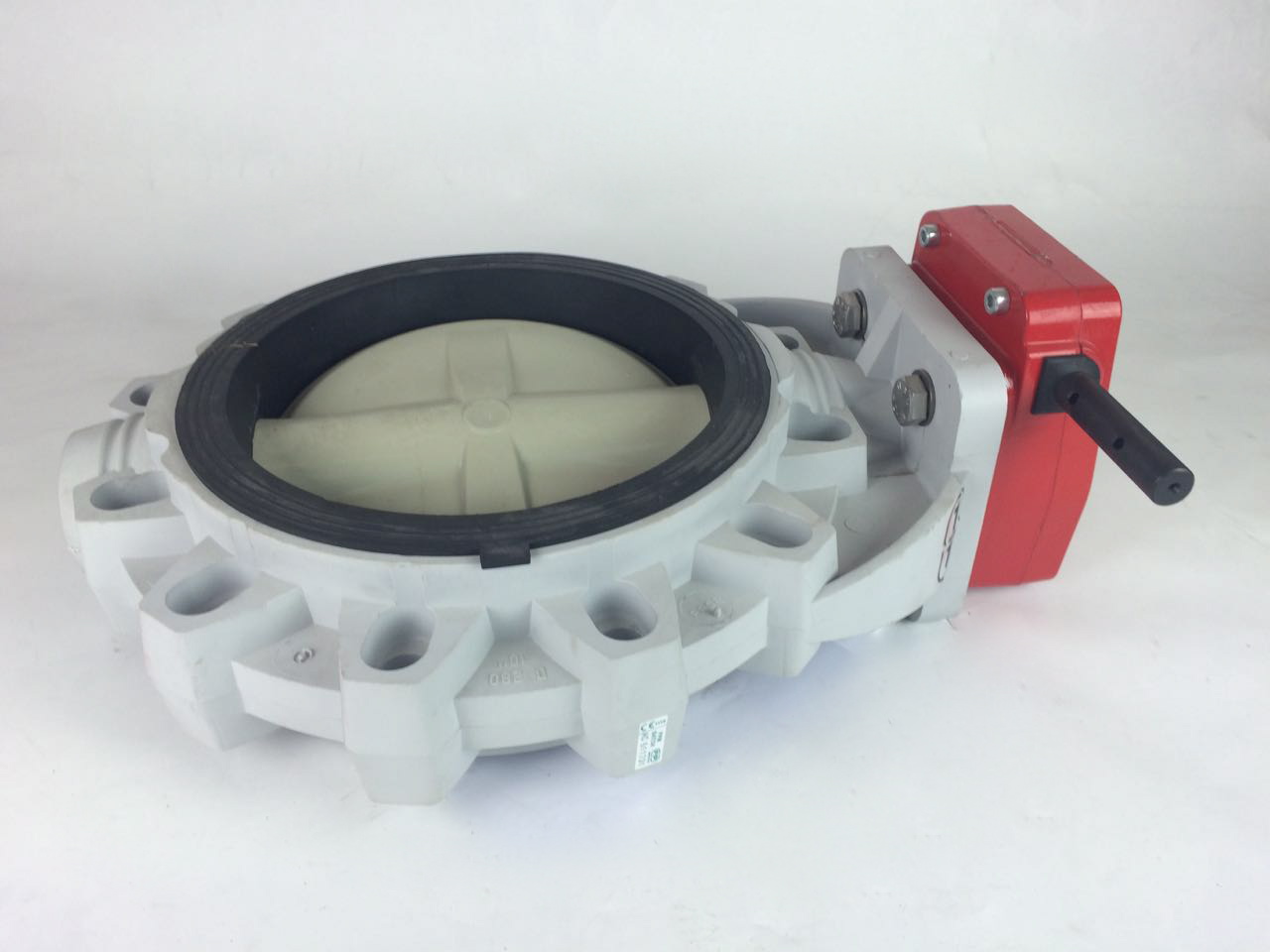 FIP FK/RM DN250 PN10 Butterfly Valve (No Steering Wheel)